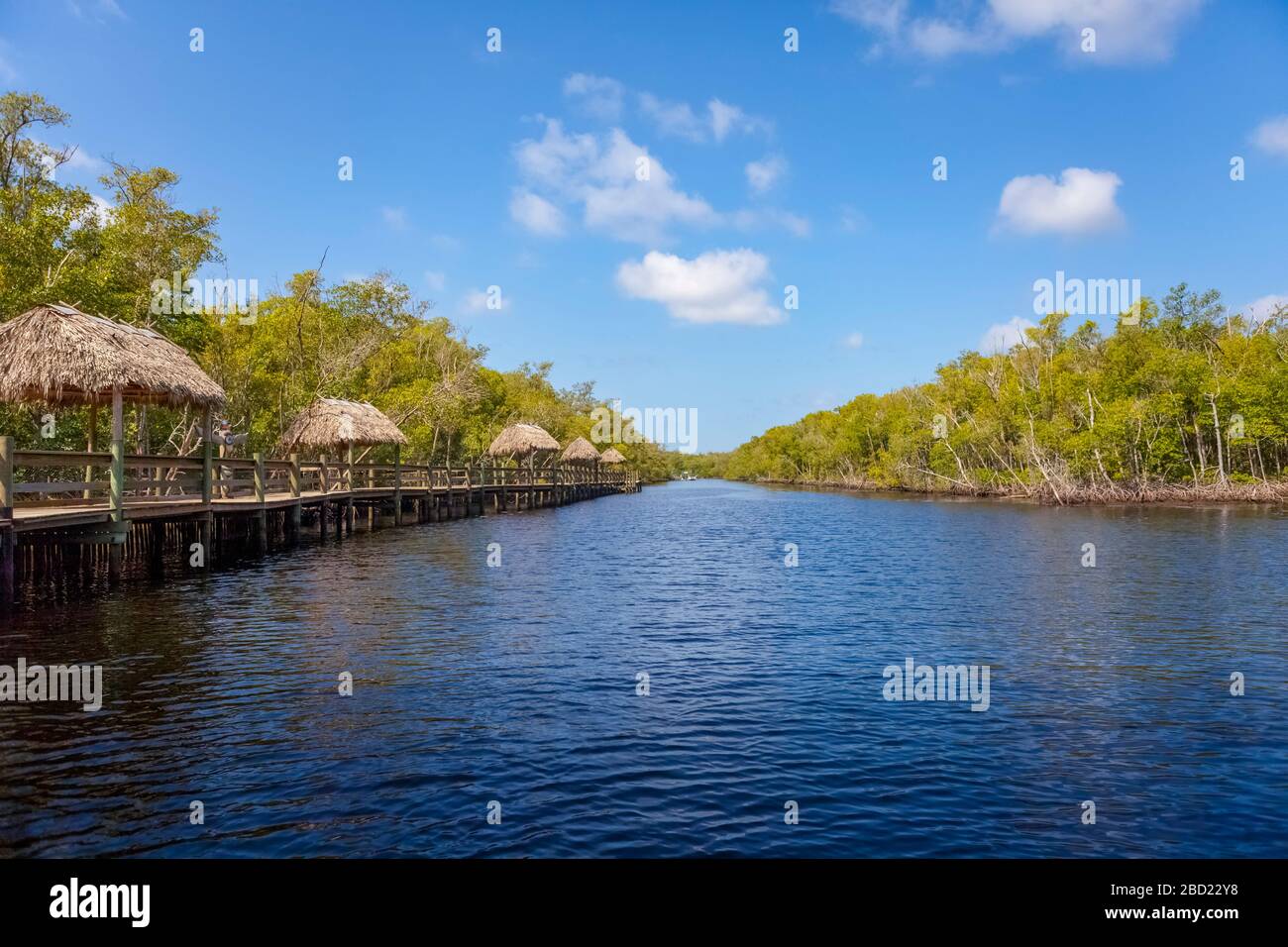 Edge of everglades hi-res stock photography and images - Alamy