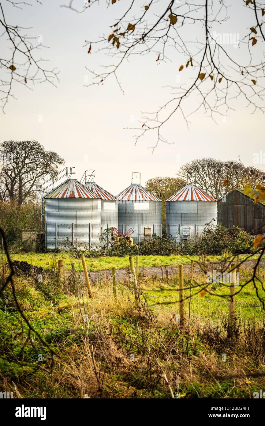 Three rural grain silos in Blyth Village, Nottinghamshire, UK Stock ...