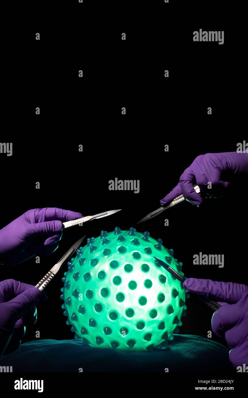 Doctor studying bacteria hi-res stock photography and images - Alamy