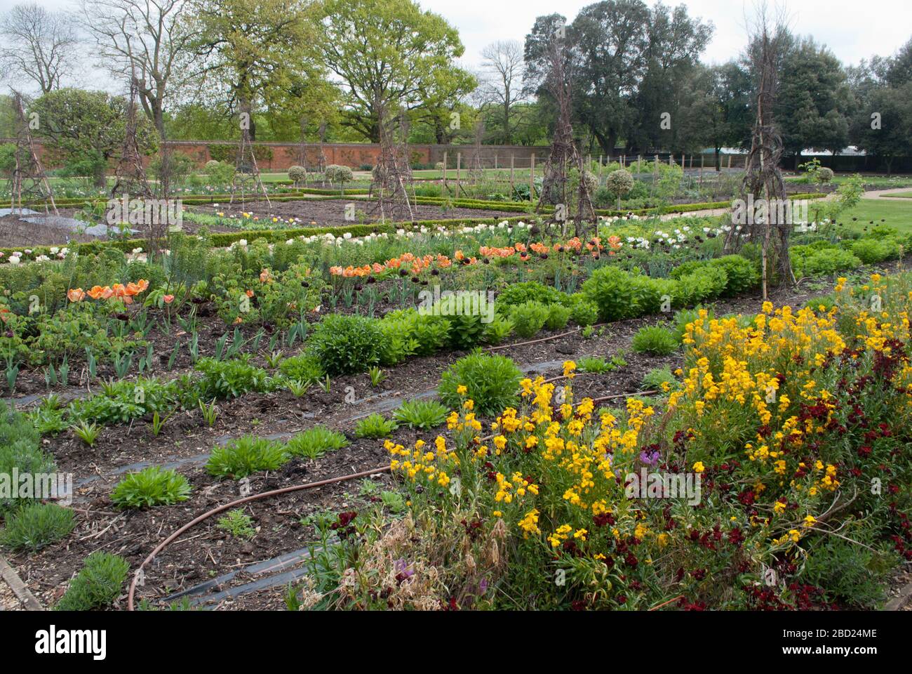 Ham House, Ham Street, Richmond-upon-Thames TW10 7RS Stock Photo - Alamy