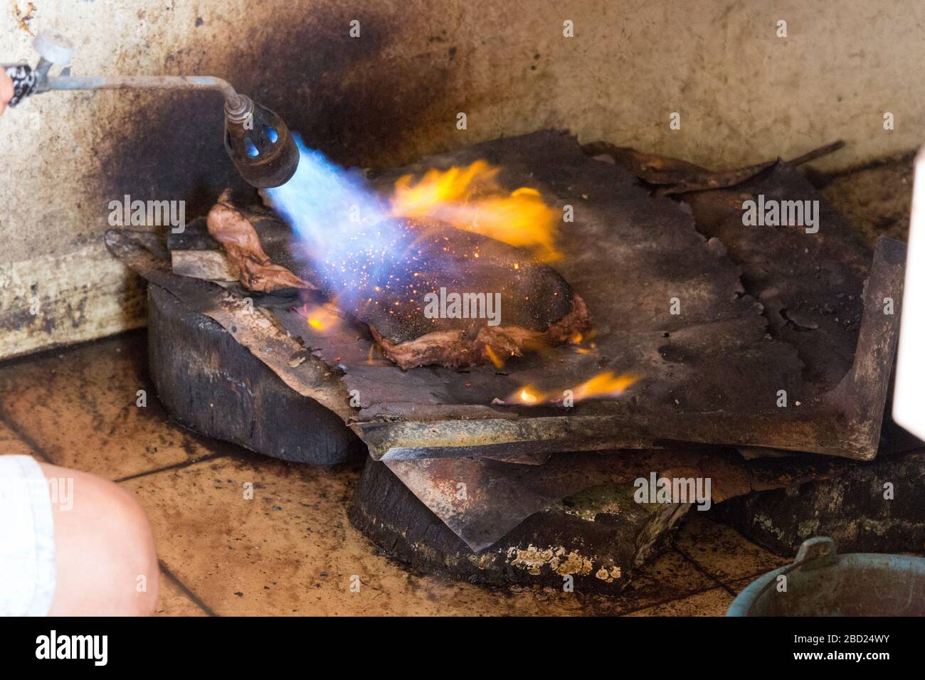 Weird food laos hi-res stock photography and images - Alamy