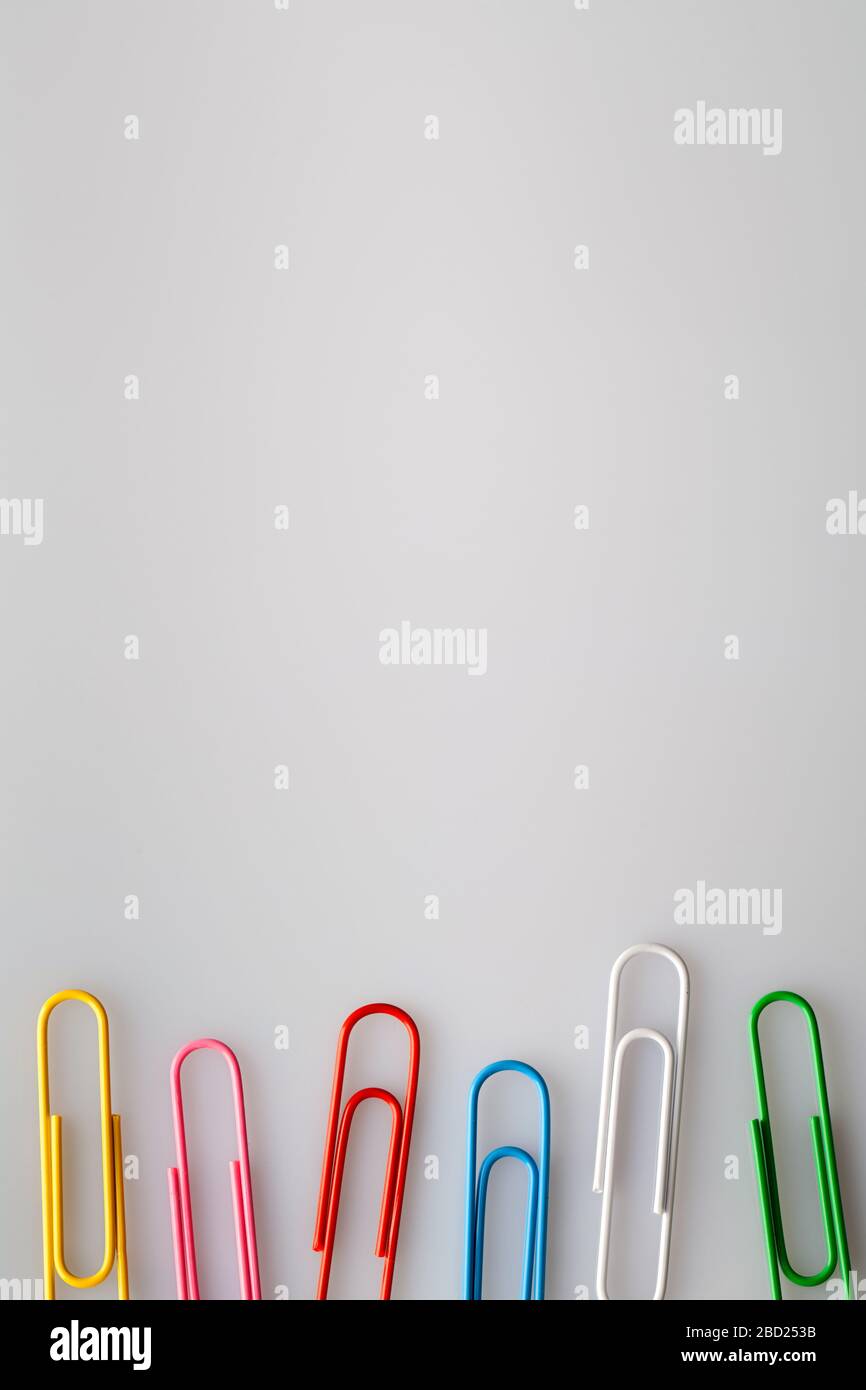 multi colored paper clips on white, gray background. copy space flat ...