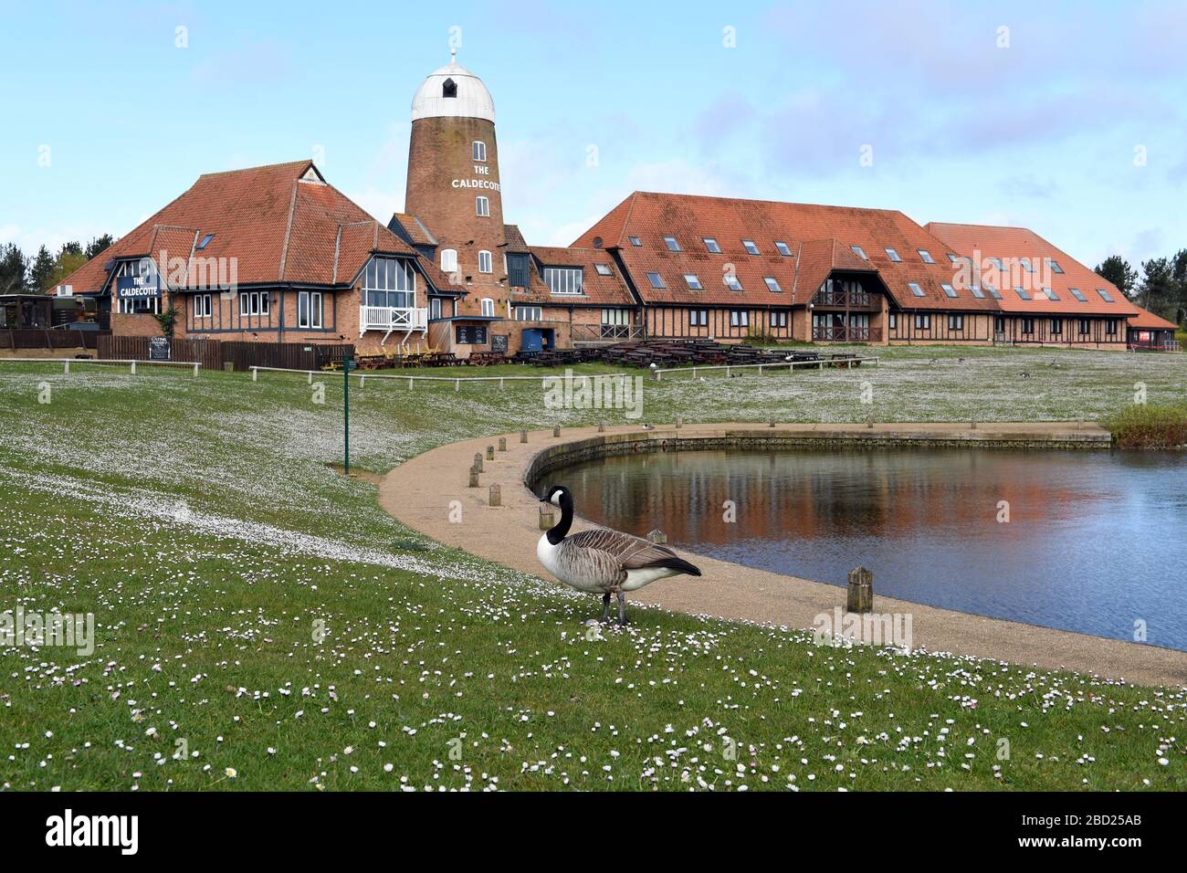 Central Milton Keynes Buildings Snow Dome Outdoor Market Blossom ...