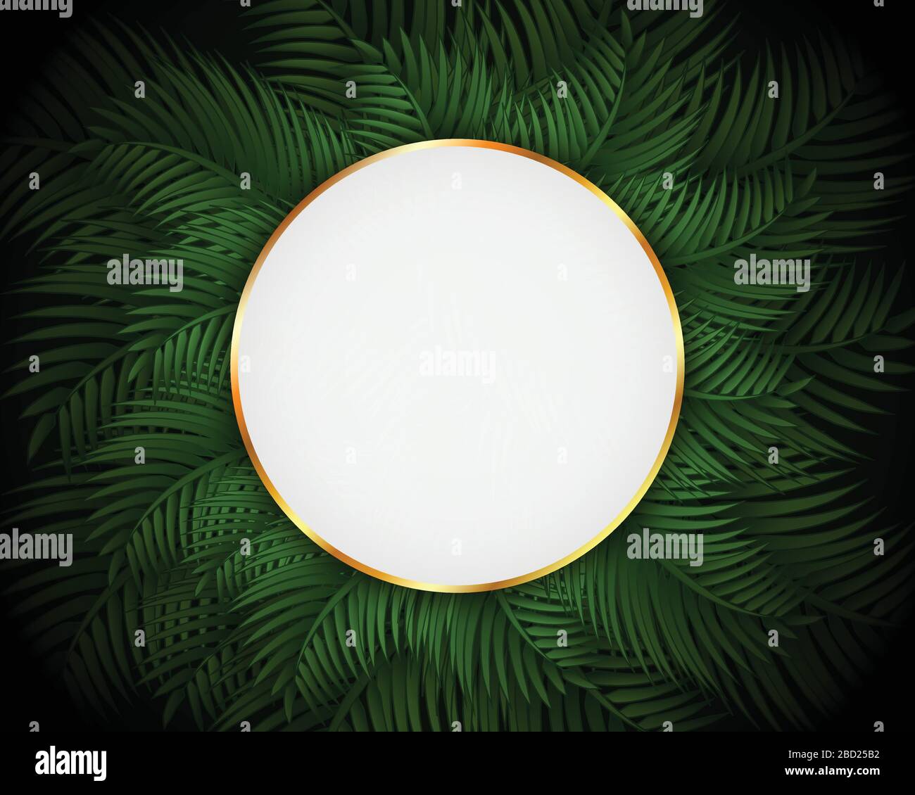 Tropical elegant design Stock Vector Image & Art - Alamy