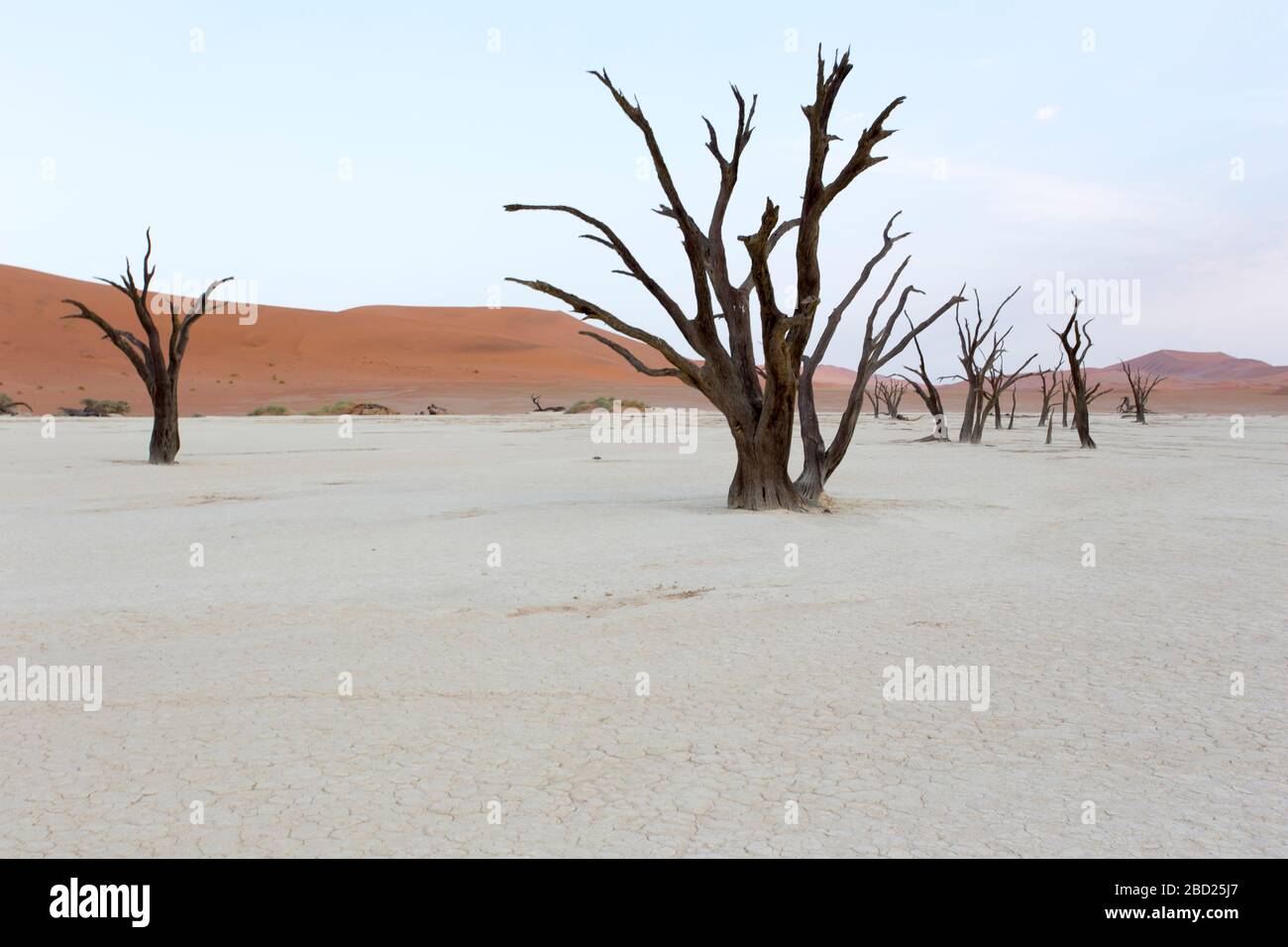 A photo of famous deadvlei desert in Namibia Stock Photo - Alamy