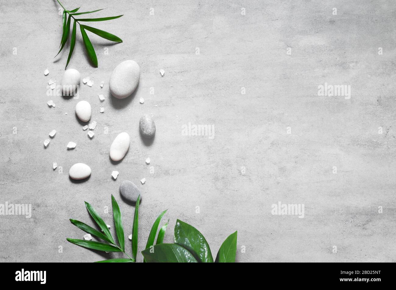 Grey spa background, spa concept, palm leaves and grey stones, top view ...