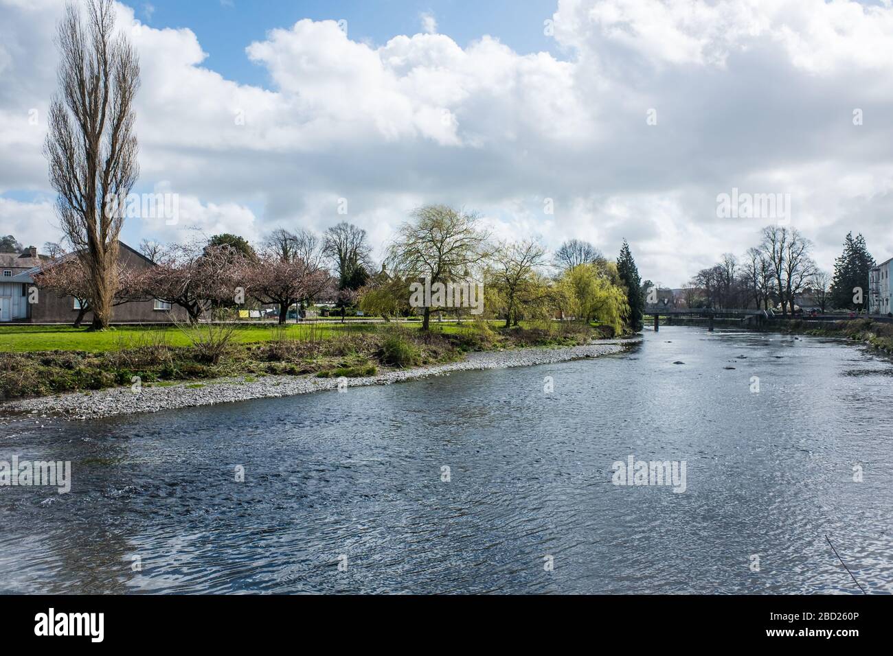 River Kent Kendal in Springtime Cumbria UK Stock Photo - Alamy