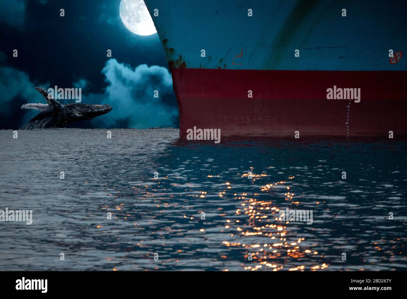humpback whale breaching at full moon night in pacific ocean background ...