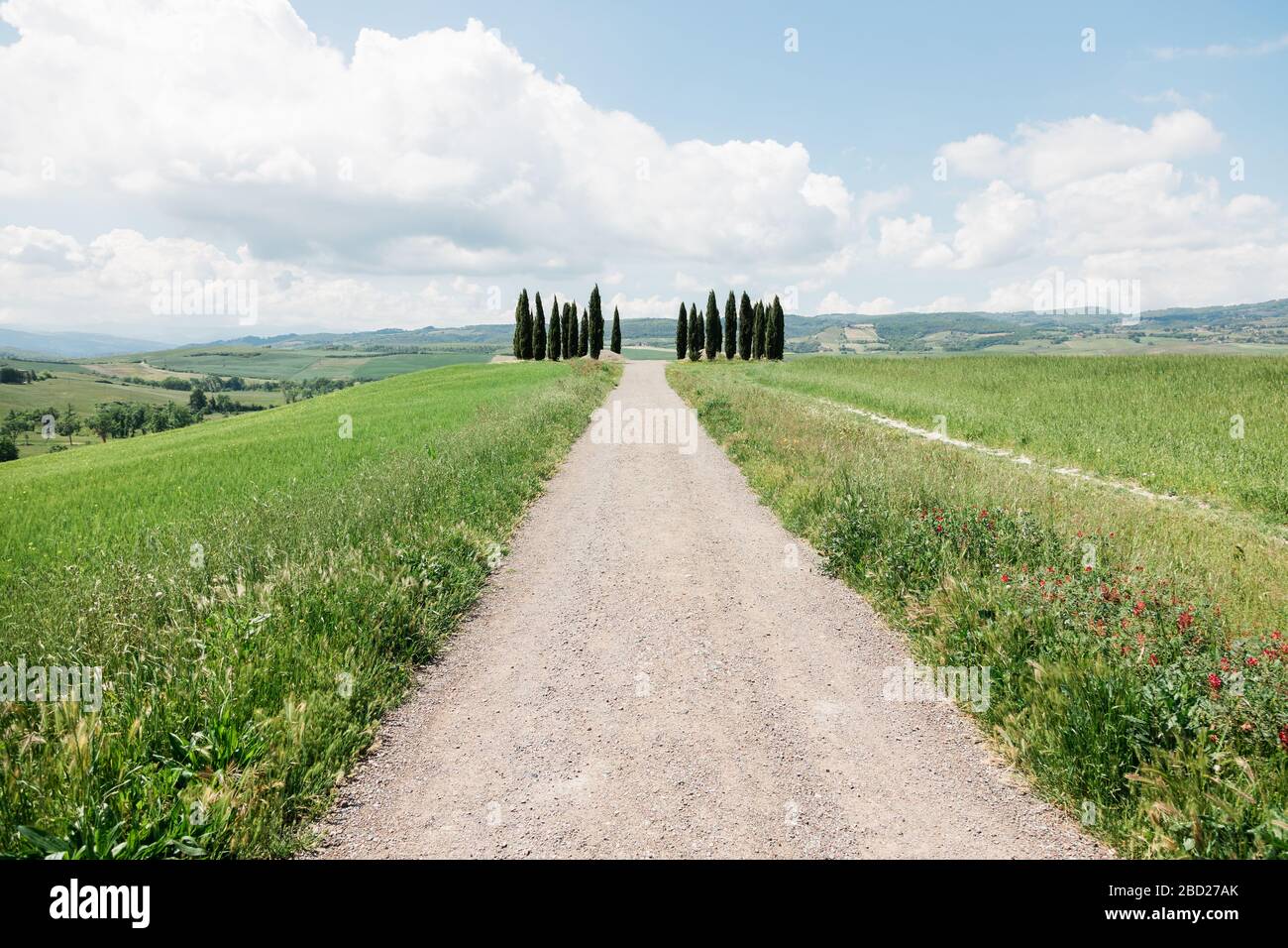 Beautiful Tuscany landscape with cypresses in springtime Stock Photo ...