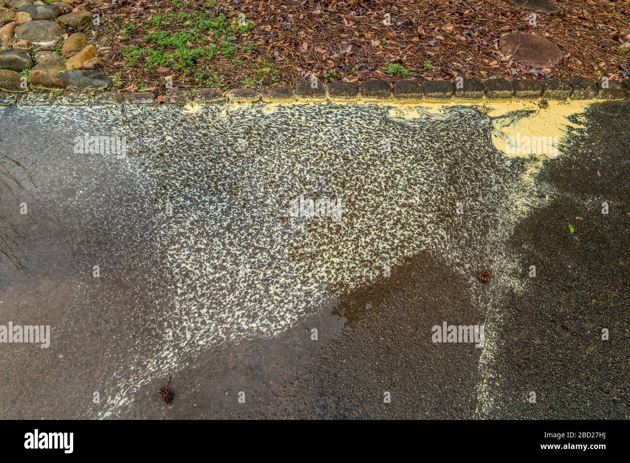 Large gathering hi-res stock photography and images - Alamy