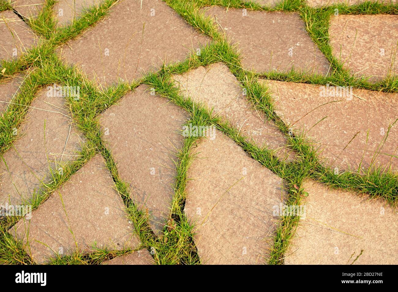 footpath with a growing grass between stones. abstract background Stock ...