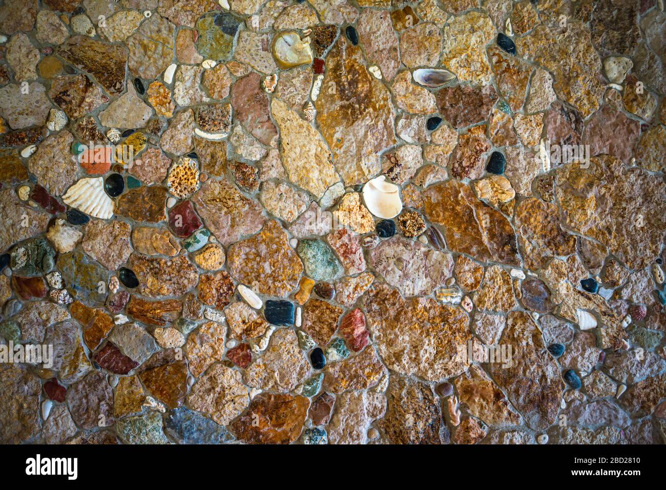 Stone wall texture with sea shells Stock Photo - Alamy