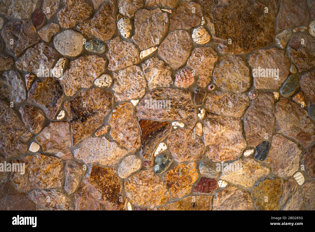 Stone wall texture with sea shells Stock Photo - Alamy