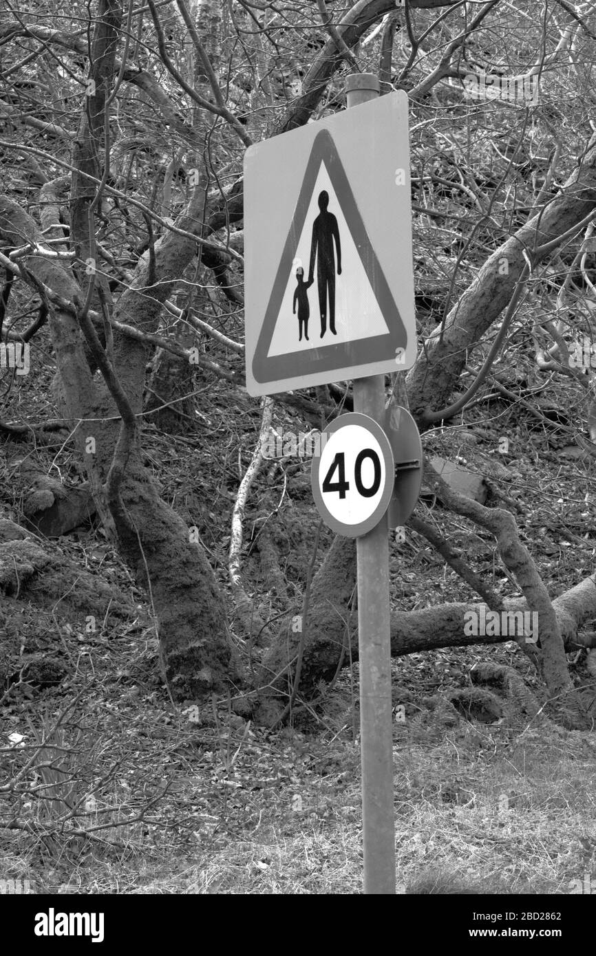 traffic sign and branches Stock Photo - Alamy