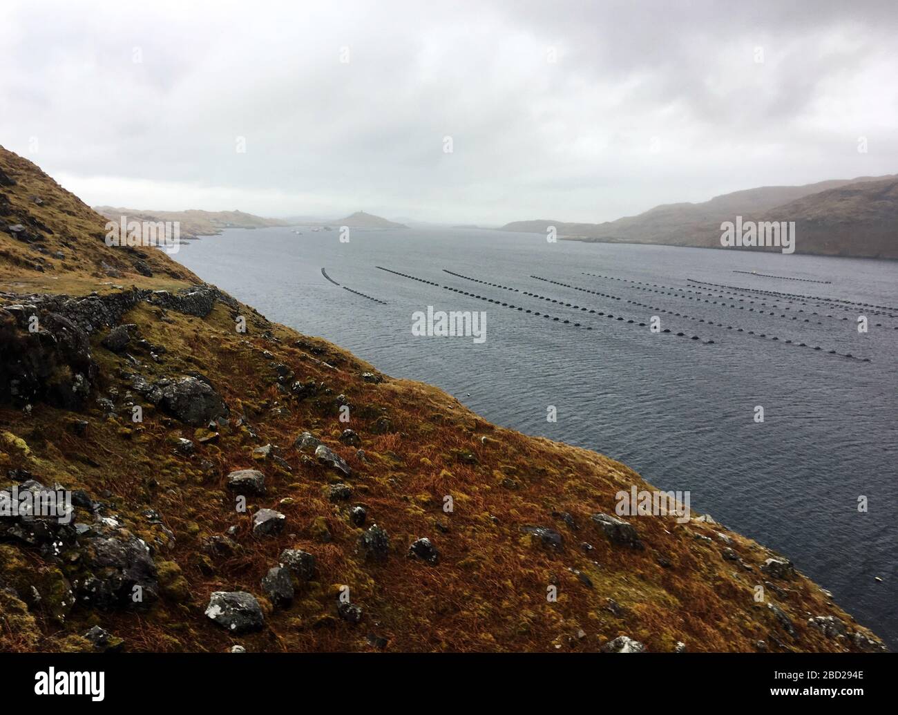 Connemara mussel beds hi-res stock photography and images - Alamy