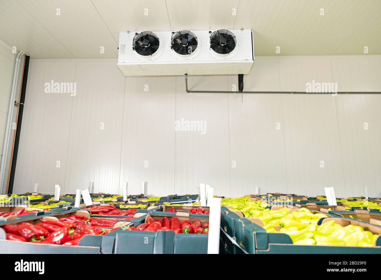 Peppers Vegetables in Boxes in Distribution Warehouse Stock Photo - Alamy