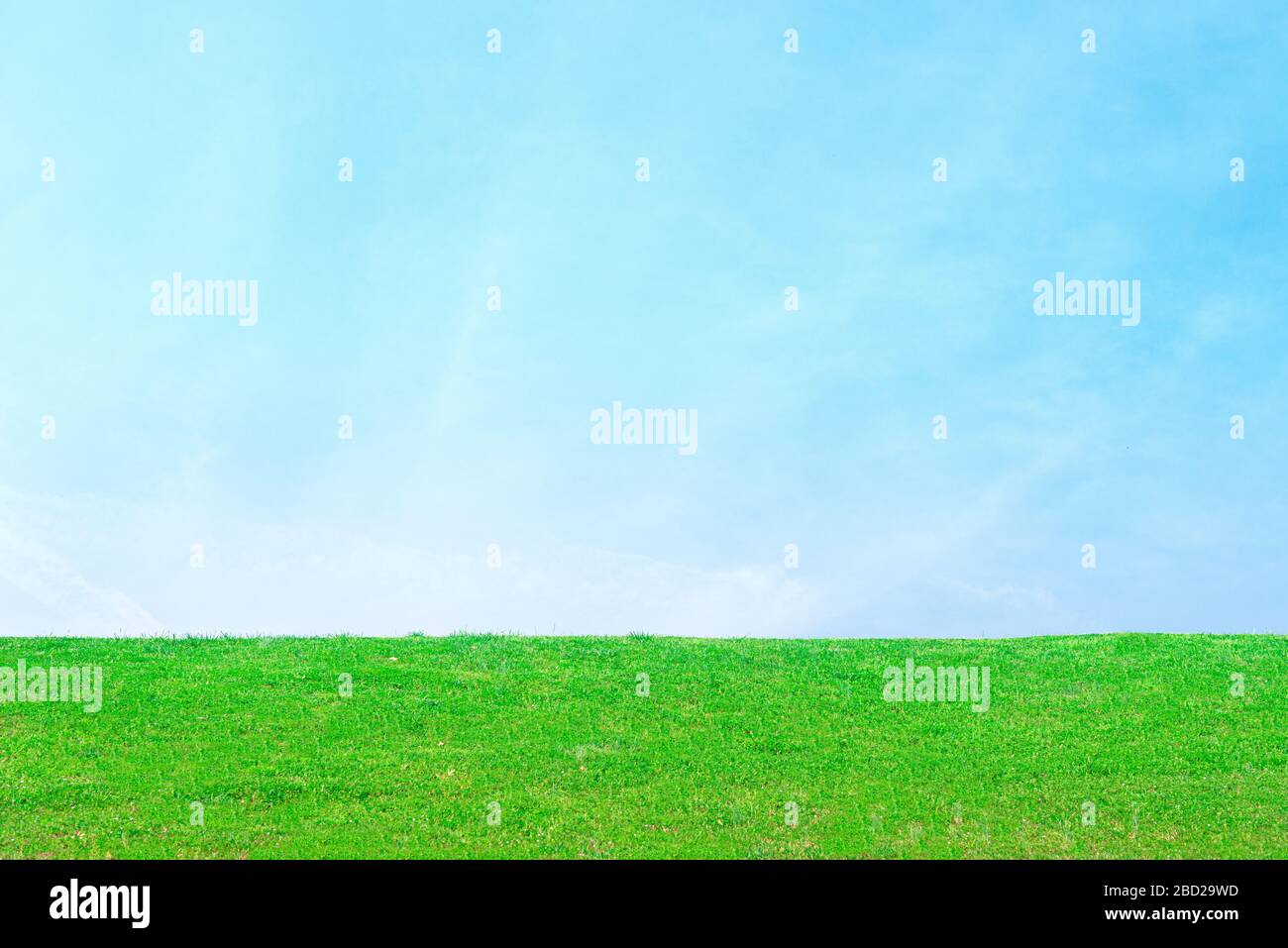 Blue Sky Green Grass