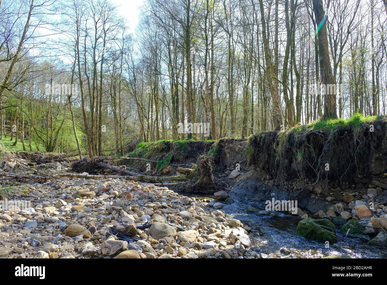 River bank erosion hi-res stock photography and images - Alamy