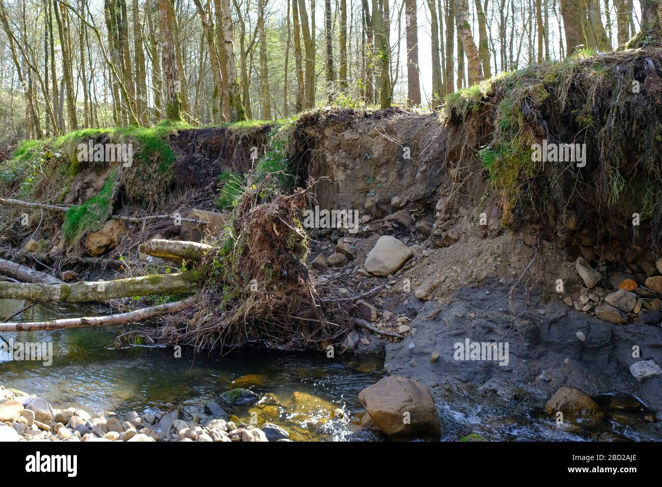 Stream bank erosion hi-res stock photography and images - Alamy