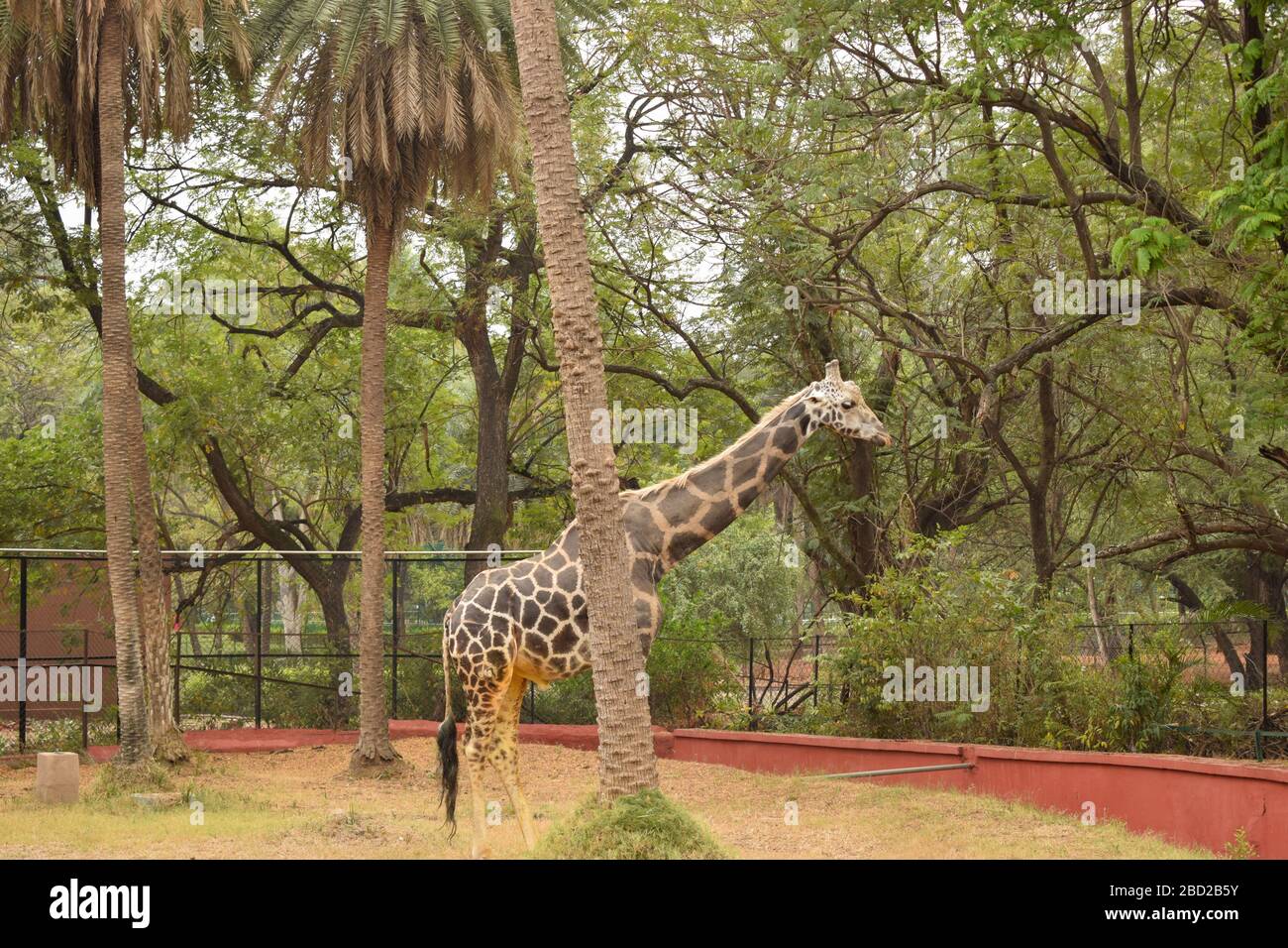 Wildlife walks hi-res stock photography and images - Alamy