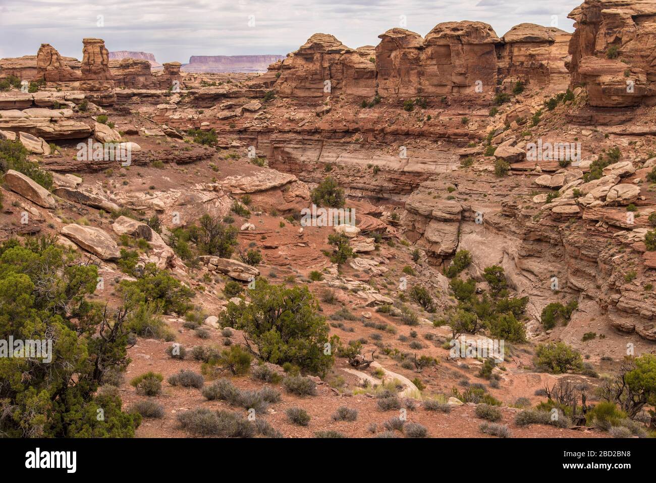 Canyonlands needles hike hi-res stock photography and images - Alamy