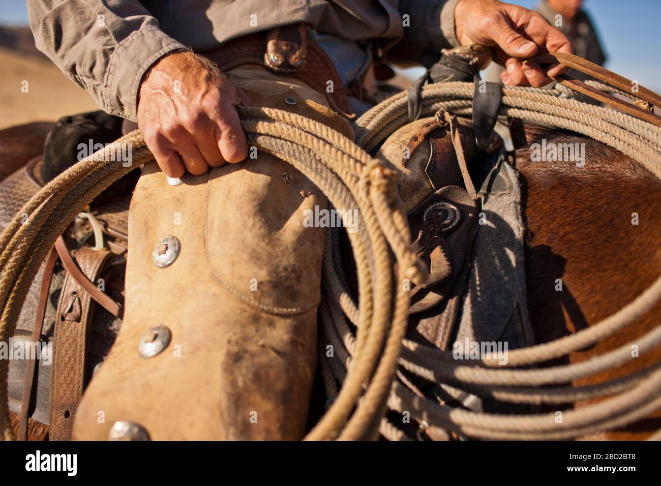 Rancher holding rope while sitting on a horse Stock Photo - Alamy