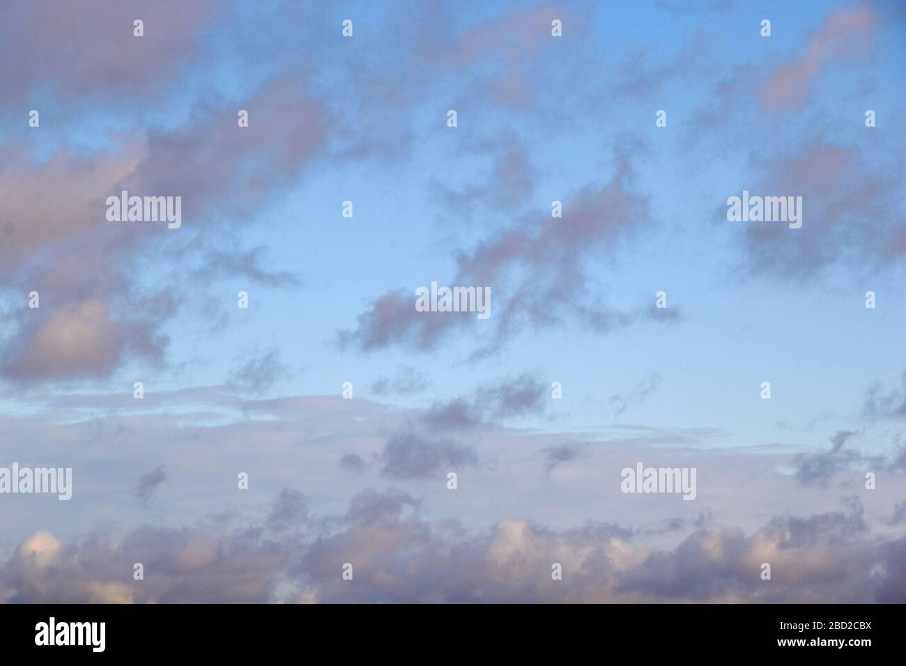 low-floating Cumulus clouds at dawn against a blue sky Stock Photo - Alamy