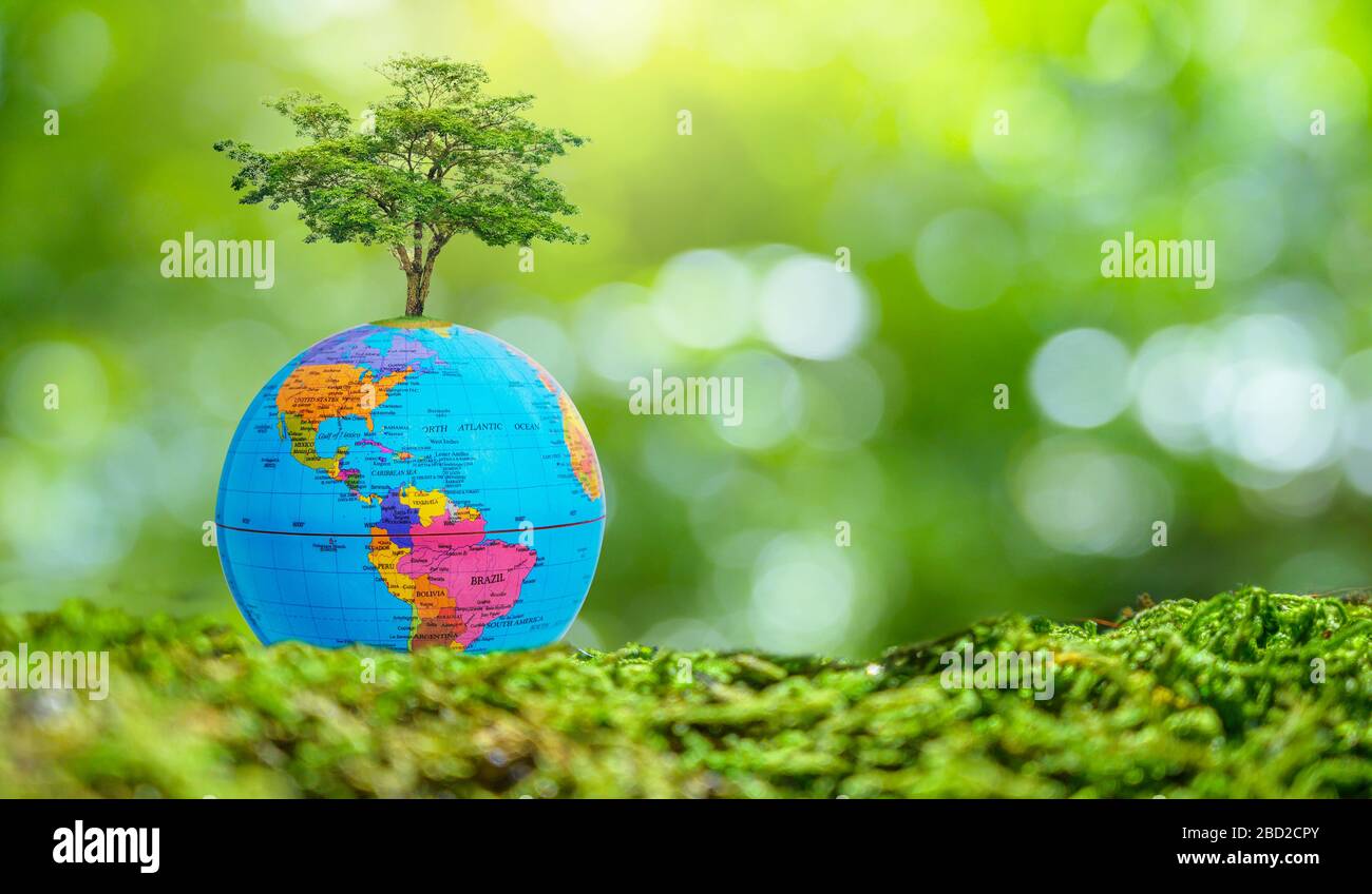 Concept Save the world save environment The world is in the grass of ...