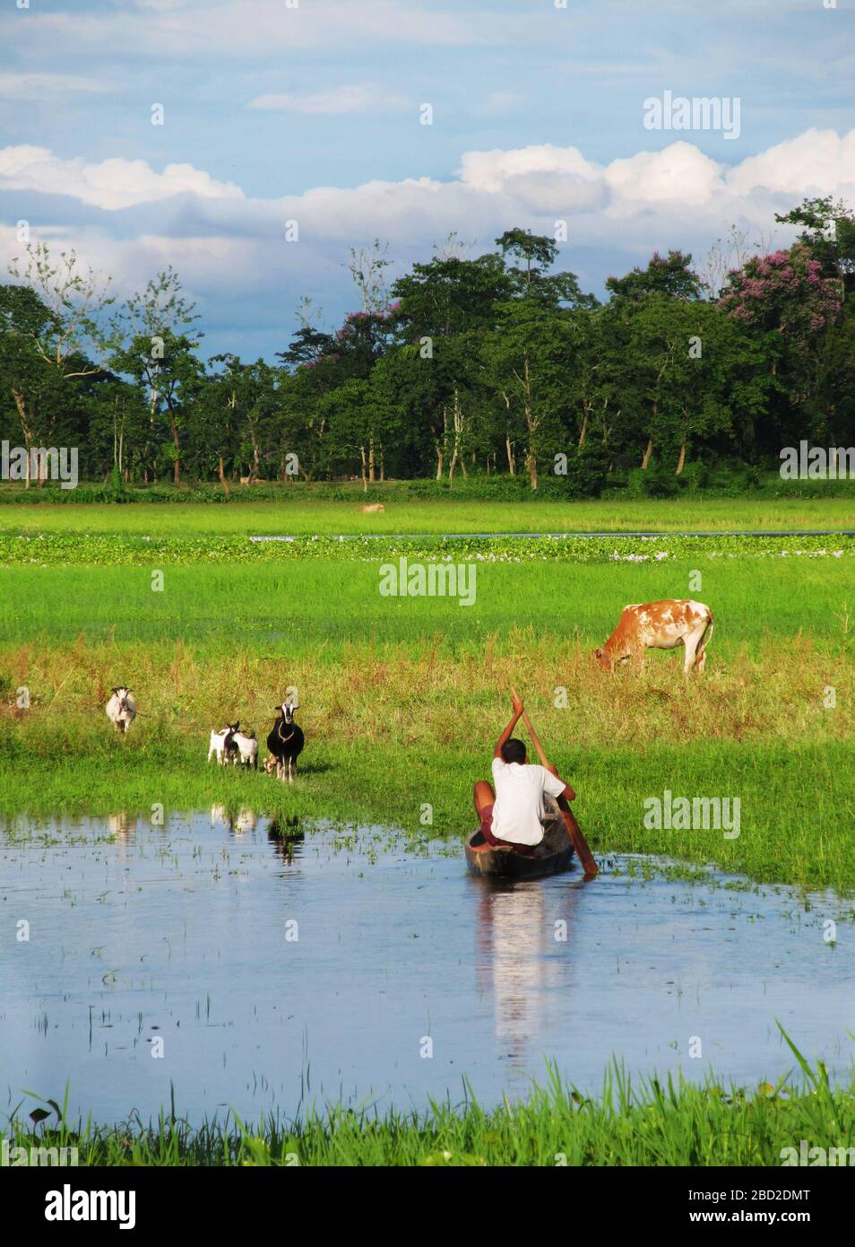 Majuli hi-res stock photography and images - Alamy