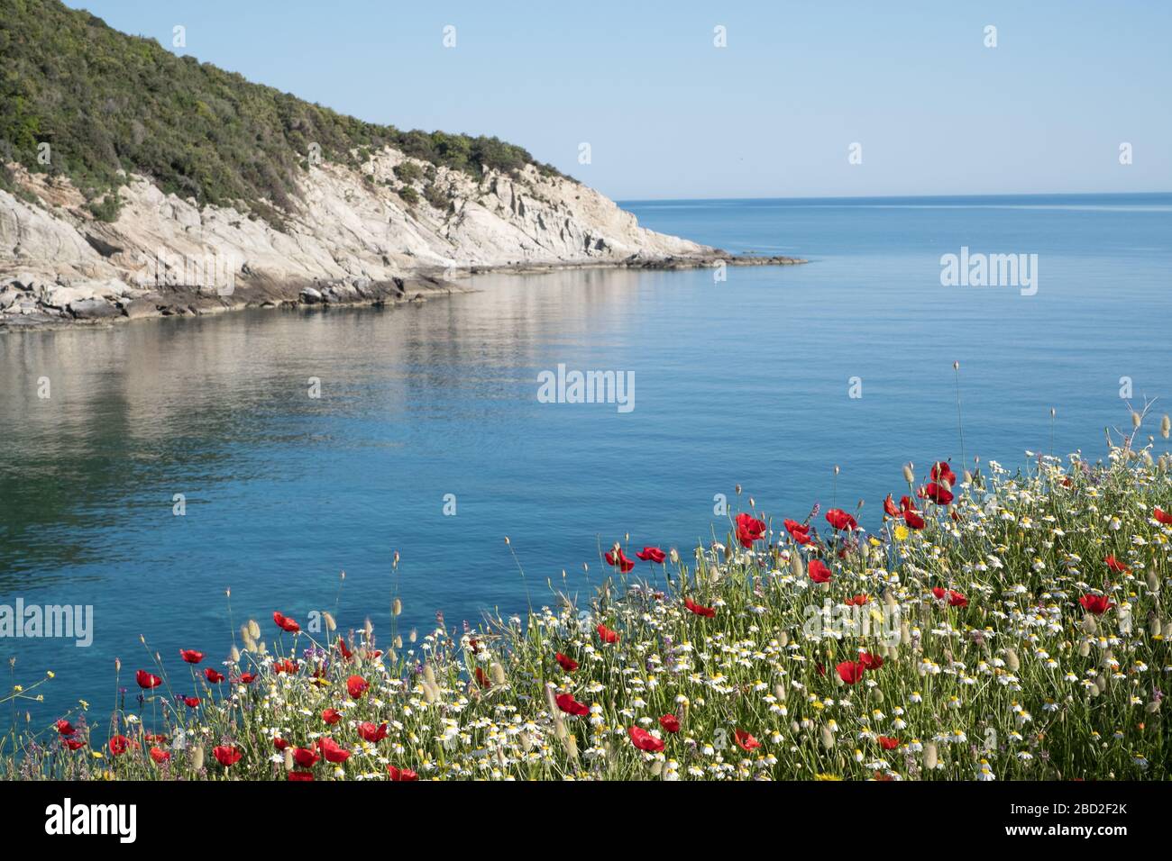 Greece spring flowers hi-res stock photography and images - Alamy