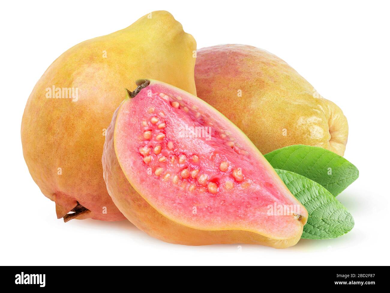 Isolated guava fruits. Three yellow guavas isolated over white ...