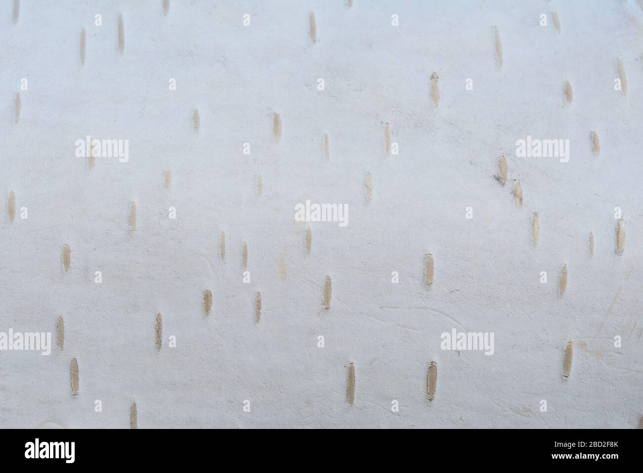 Flammable tree hi-res stock photography and images - Alamy