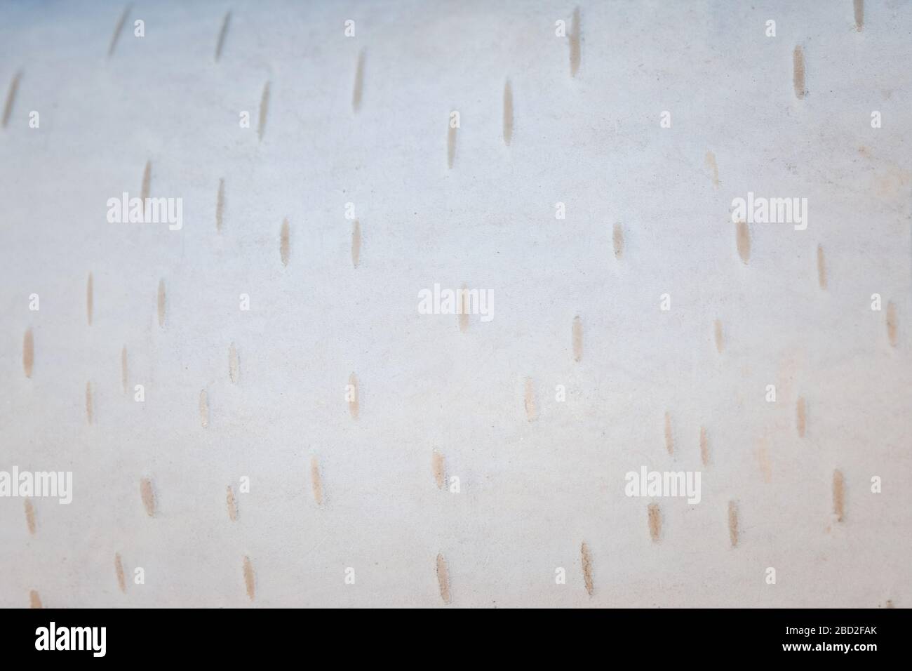 Flammable tree hi-res stock photography and images - Alamy