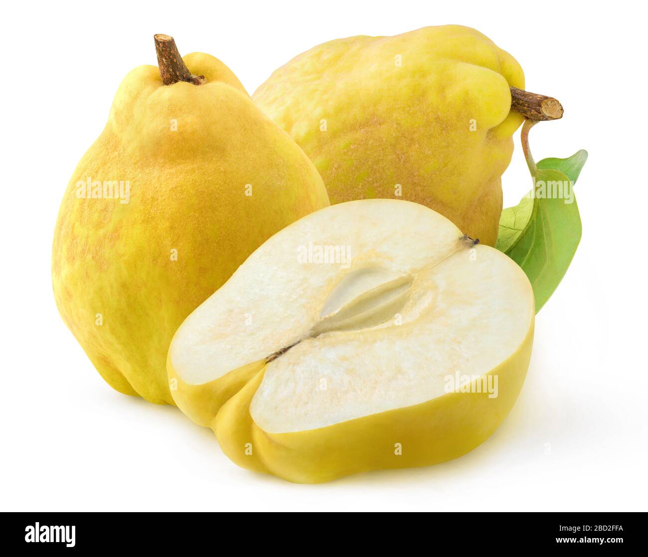 Isolated quince. Two whole quince fruits with leaves and a half ...