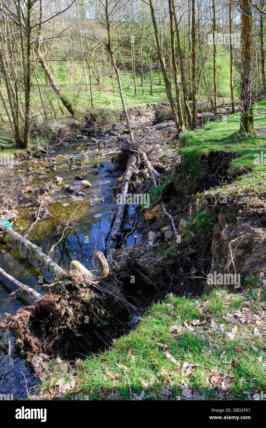 River bank erosion from rivers after they have been flooded by lots of ...