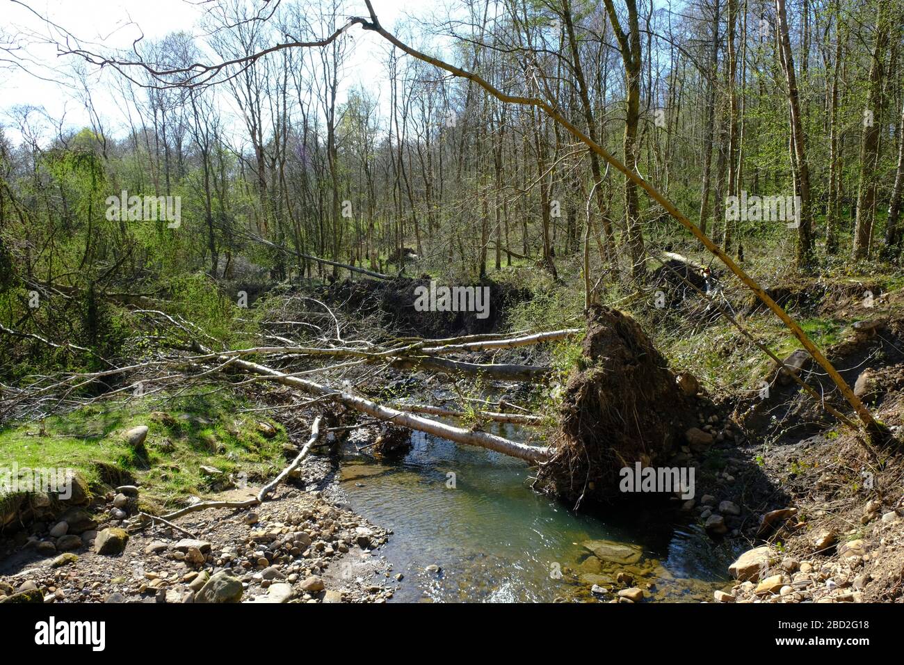 River bank erosion from rivers after they have been flooded by lots of ...