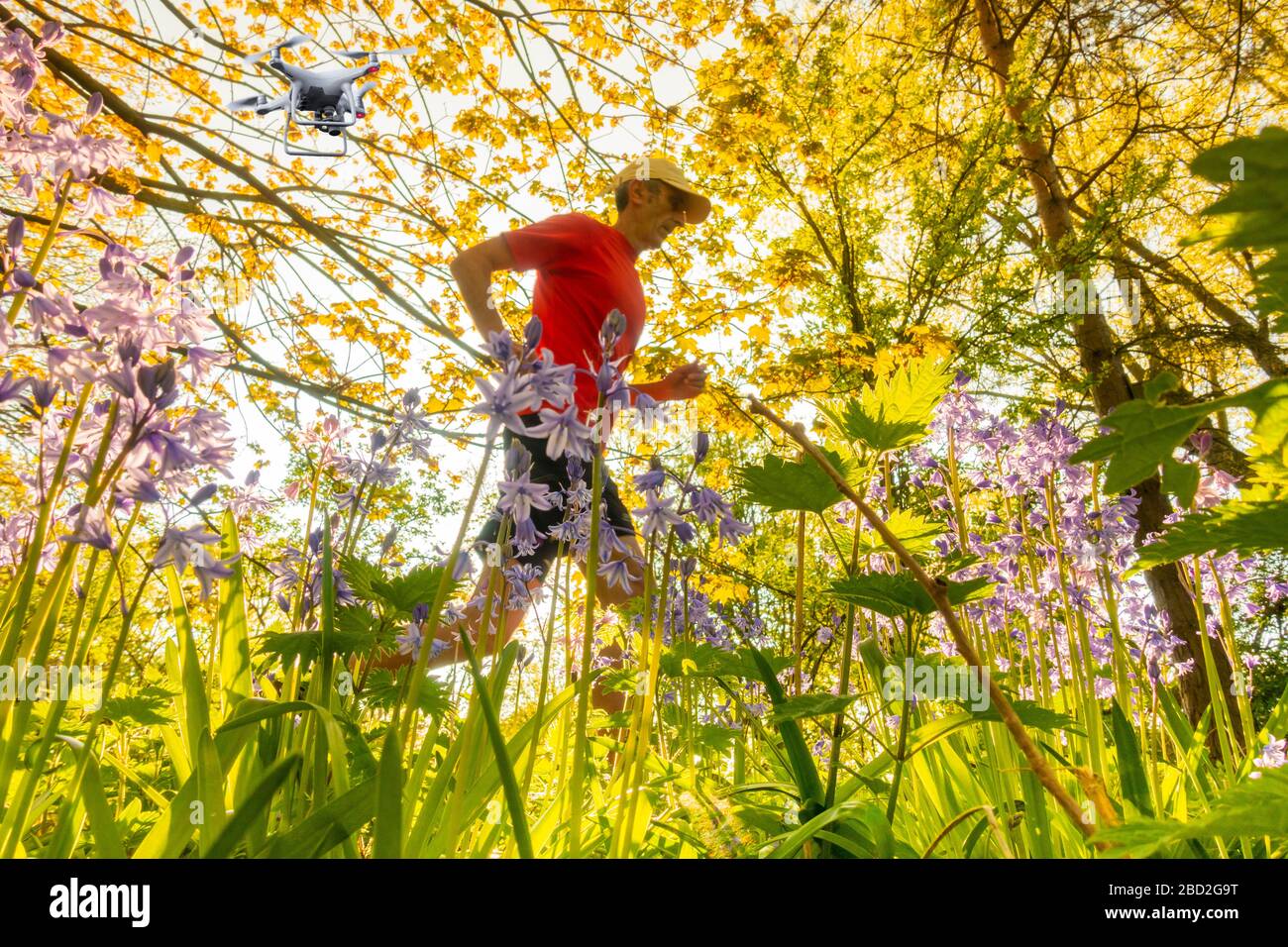 Woodland trail hi-res stock photography and images - Alamy
