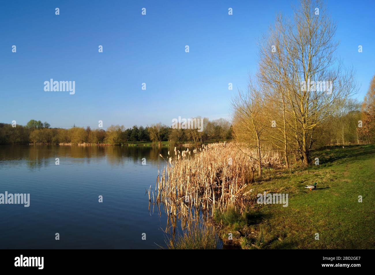 Elsecar High Resolution Stock Photography and Images - Alamy