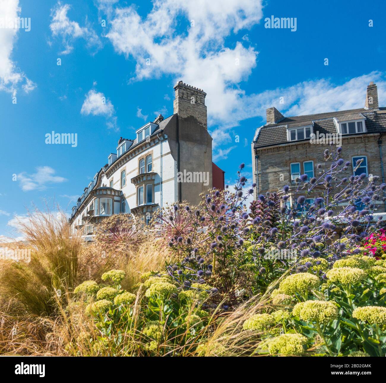 Houses overlooking the sea on top promenade at Saltburn by the sea ...