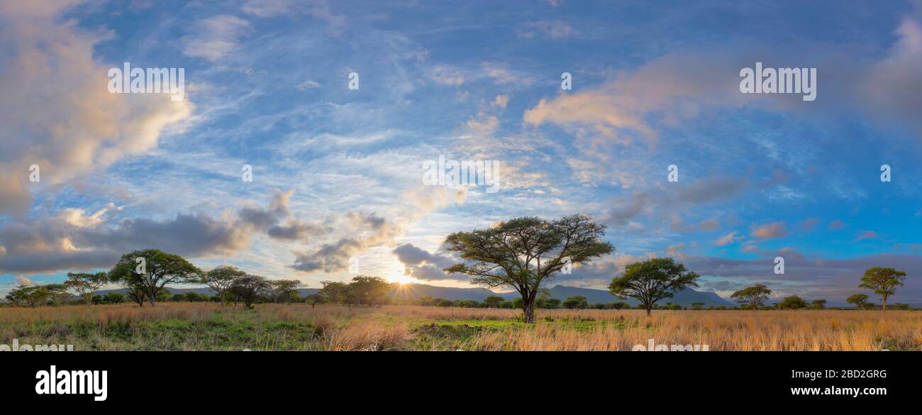 Bushveld sunrise and clouds Stock Photo - Alamy