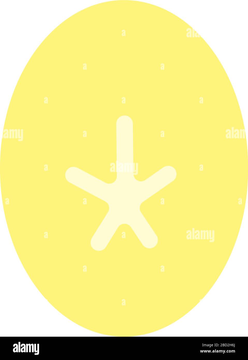 Isolated fruits fresh sliced Stock Vector Images - Alamy