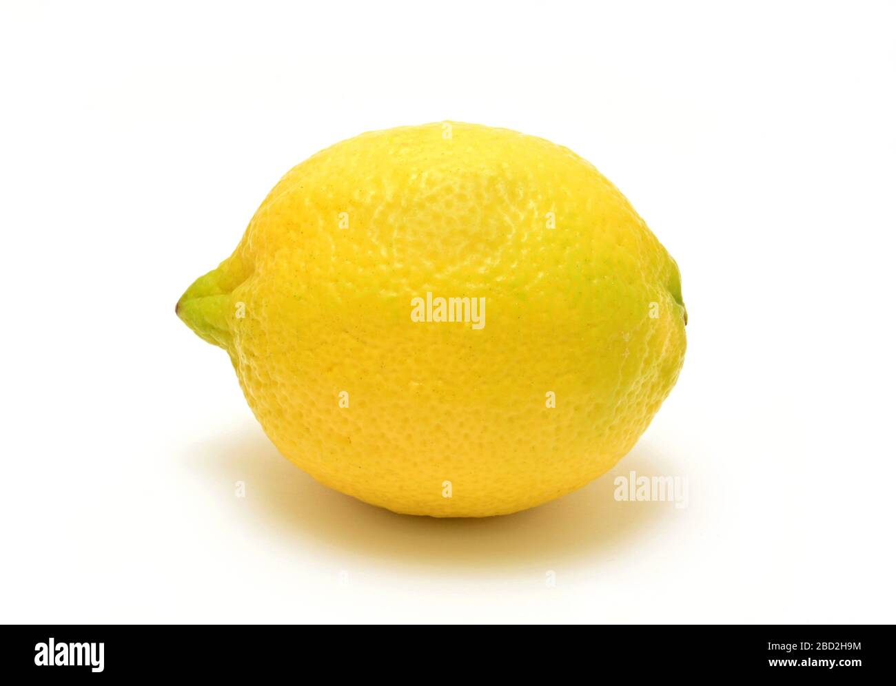 Fresh one whole lemon on white background Stock Photo - Alamy