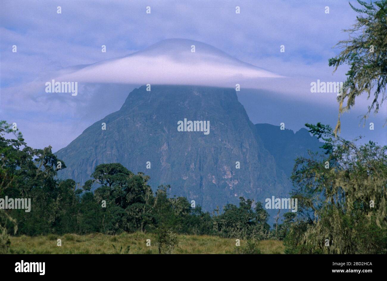 Mount Mikeno, Volcanoes National Park, Rwanda Stock Photo - Alamy