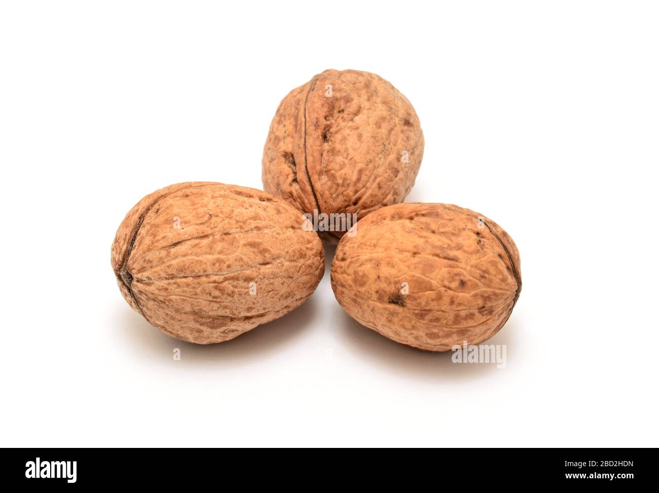 Group of three walnuts on white background Stock Photo - Alamy