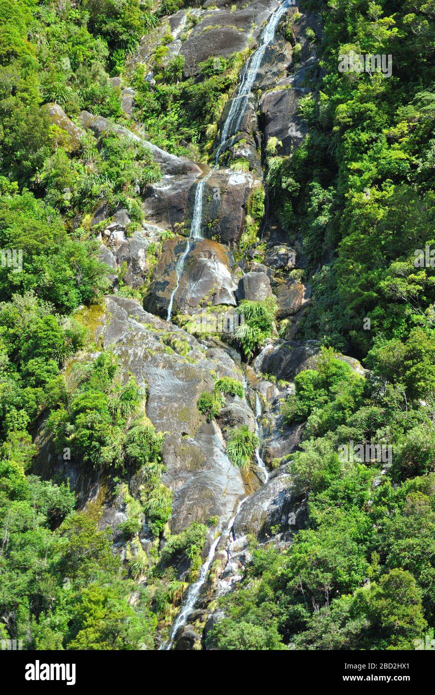 Waterfall at Milford Sound Stock Photo - Alamy