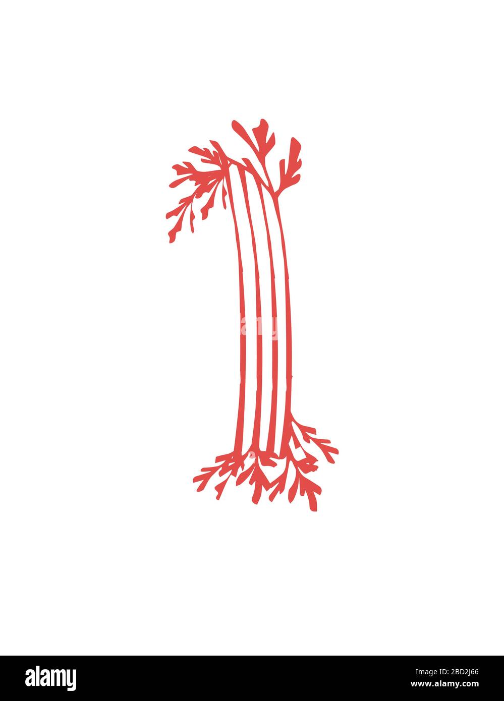 Number 1 pink colored seaweeds underwater ocean plant sea coral ...