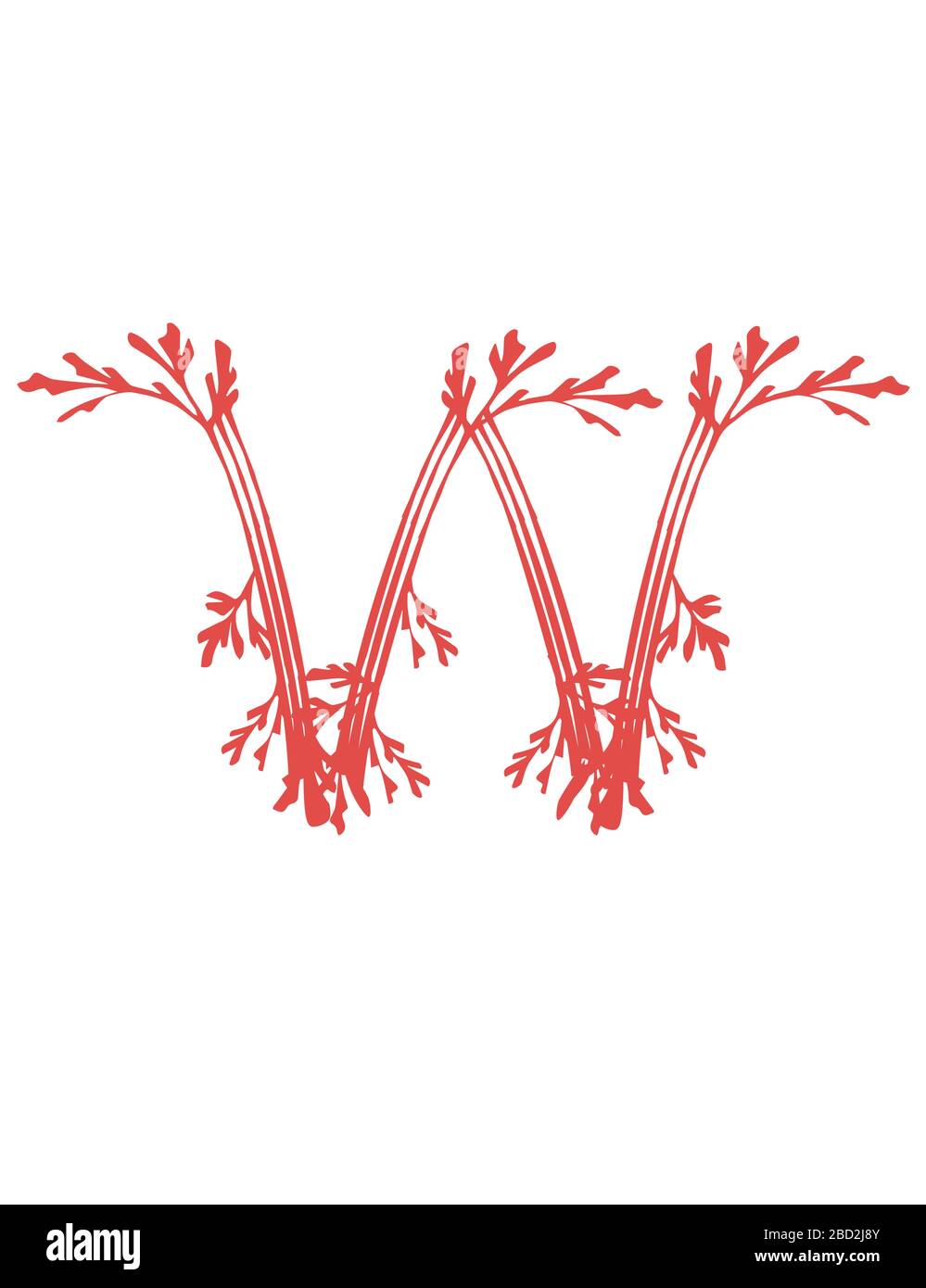 Letter W pink colored seaweeds underwater ocean plant sea coral ...
