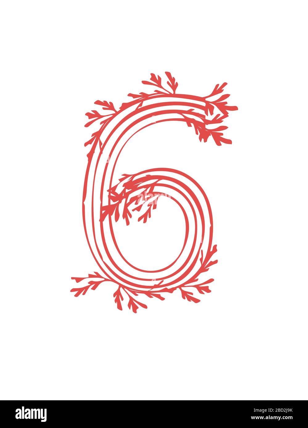 Number 6 pink colored seaweeds underwater ocean plant sea coral ...