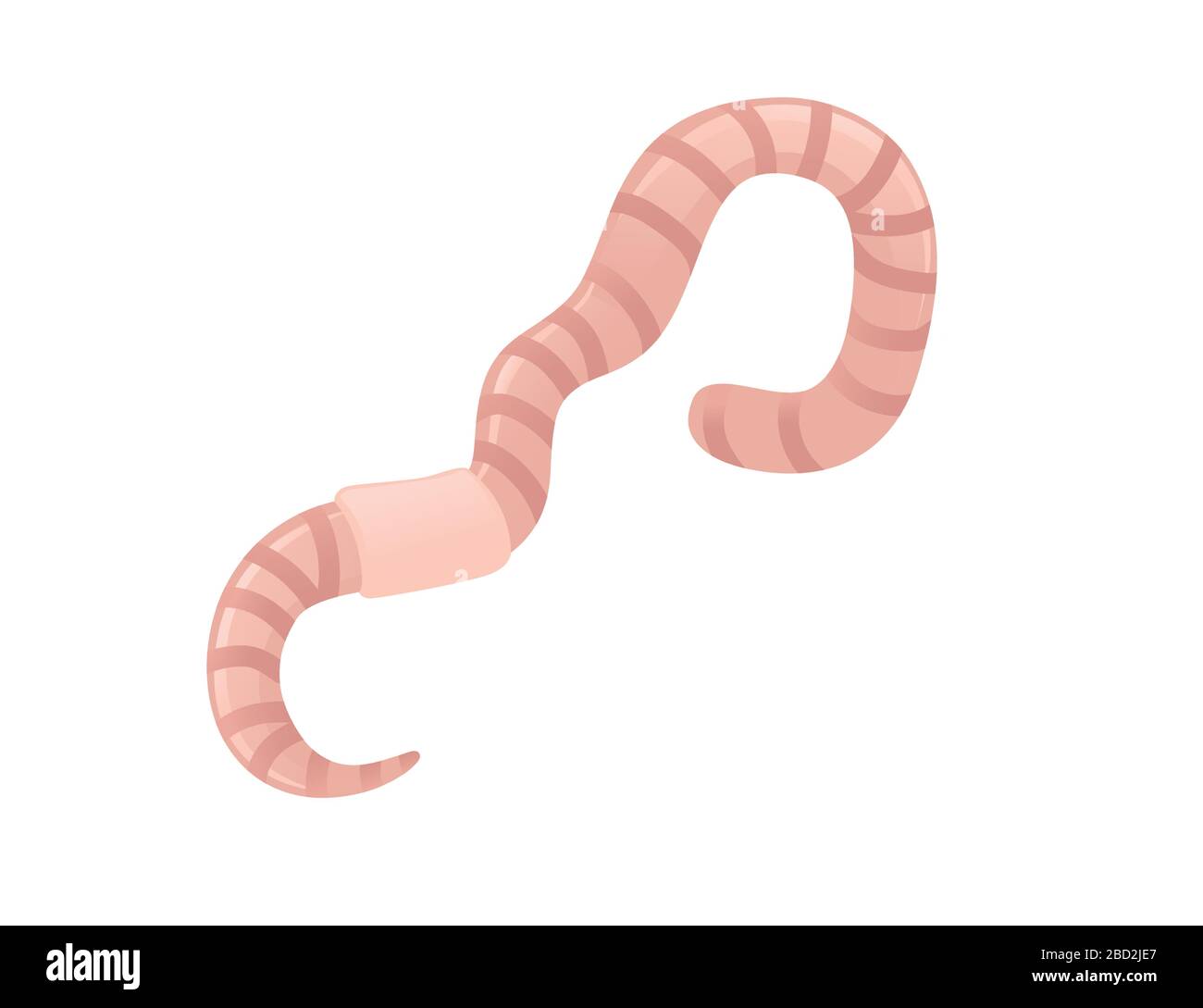 Earthworm crawling cartoon worm design flat vector illustration ...