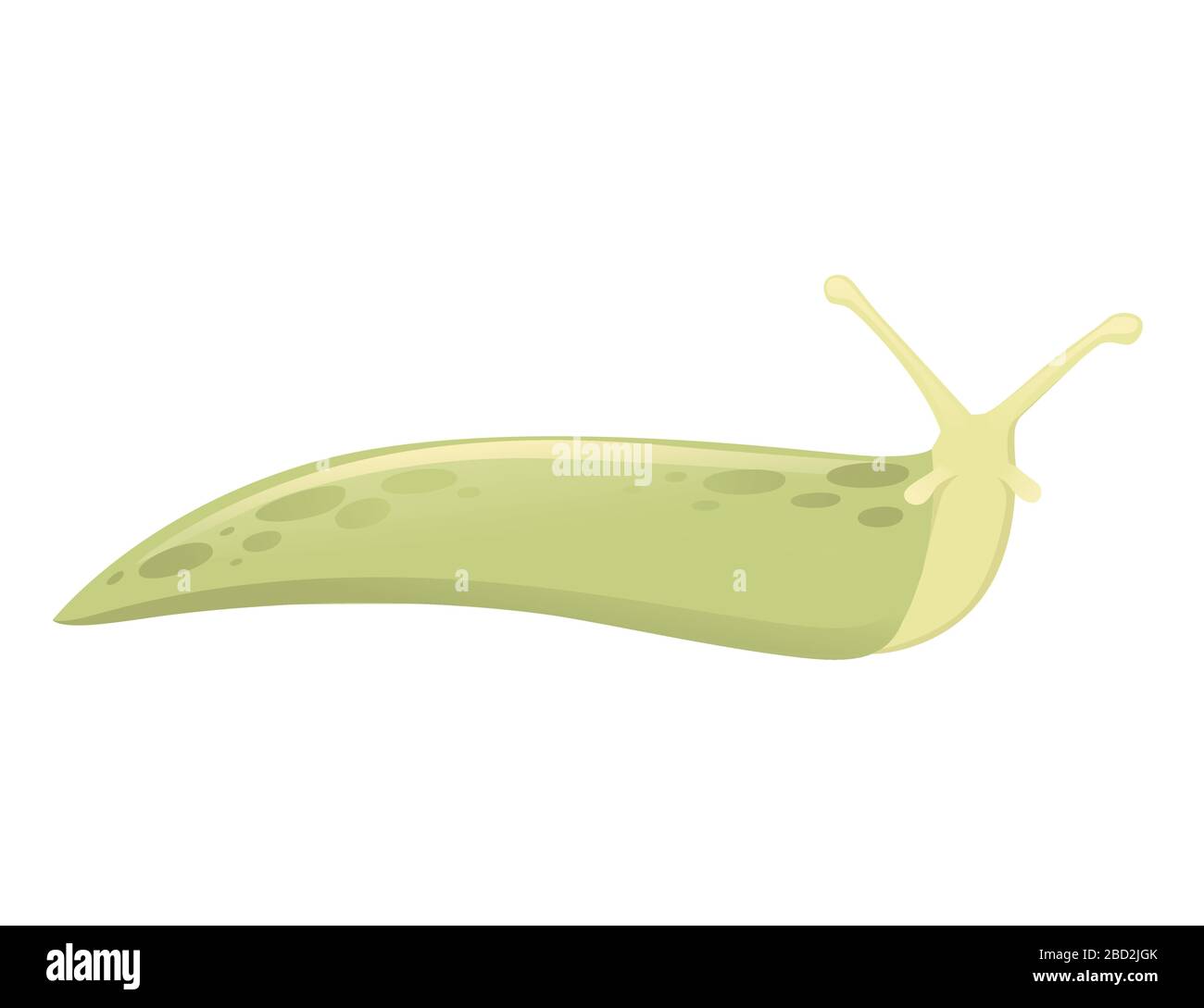 Green slug cartoon animal design flat vector illustration isolated on ...